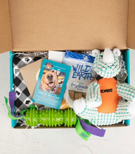 Monthly Dog Box | Monthly Cat Box | Pet Subscription Boxes - Pet Treater